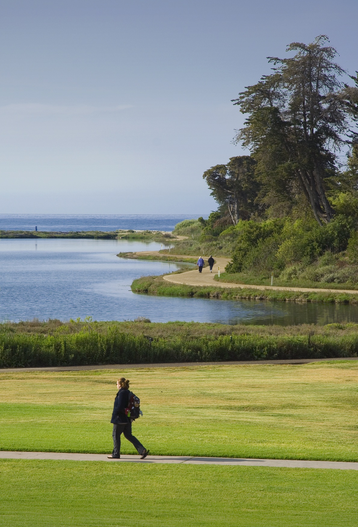 Home | Disabled Students Program